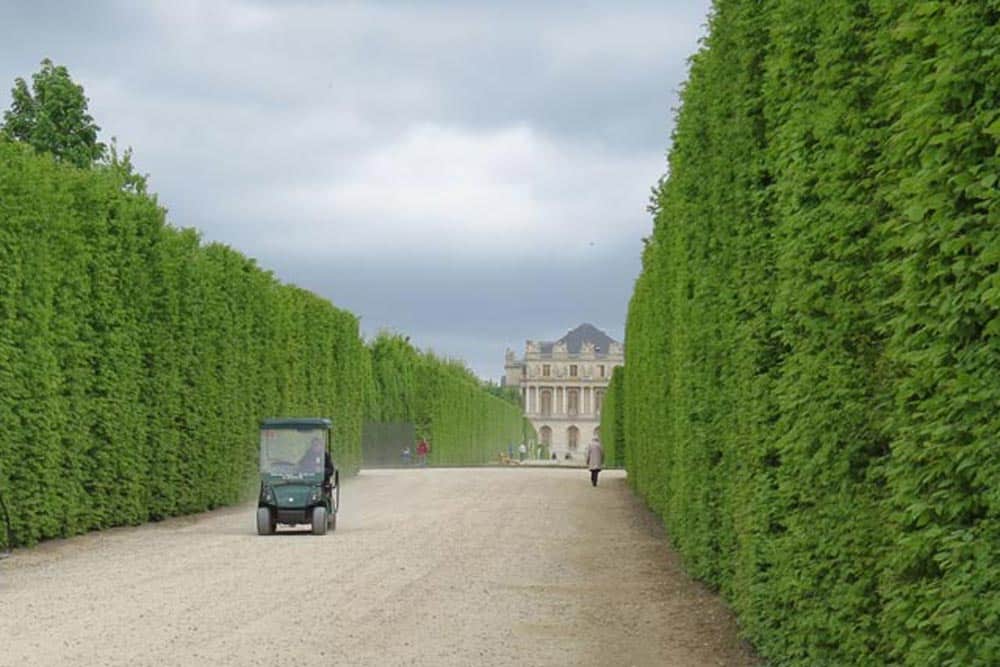 Versailles & Golf Cart Ride Family Tour - Meet the Locals